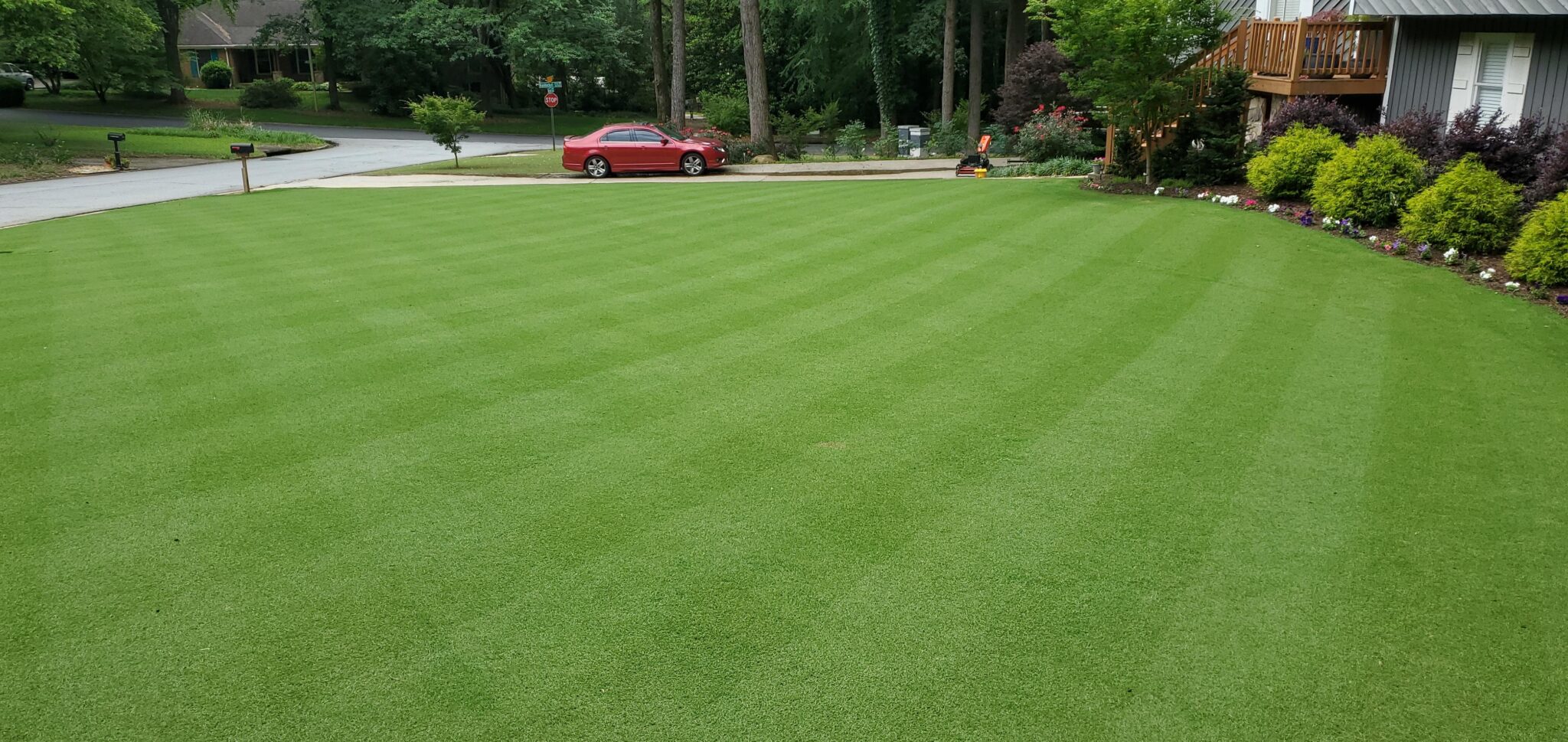 Tahoma 31 Bermuda Grass Sydney | All Year Round Turf